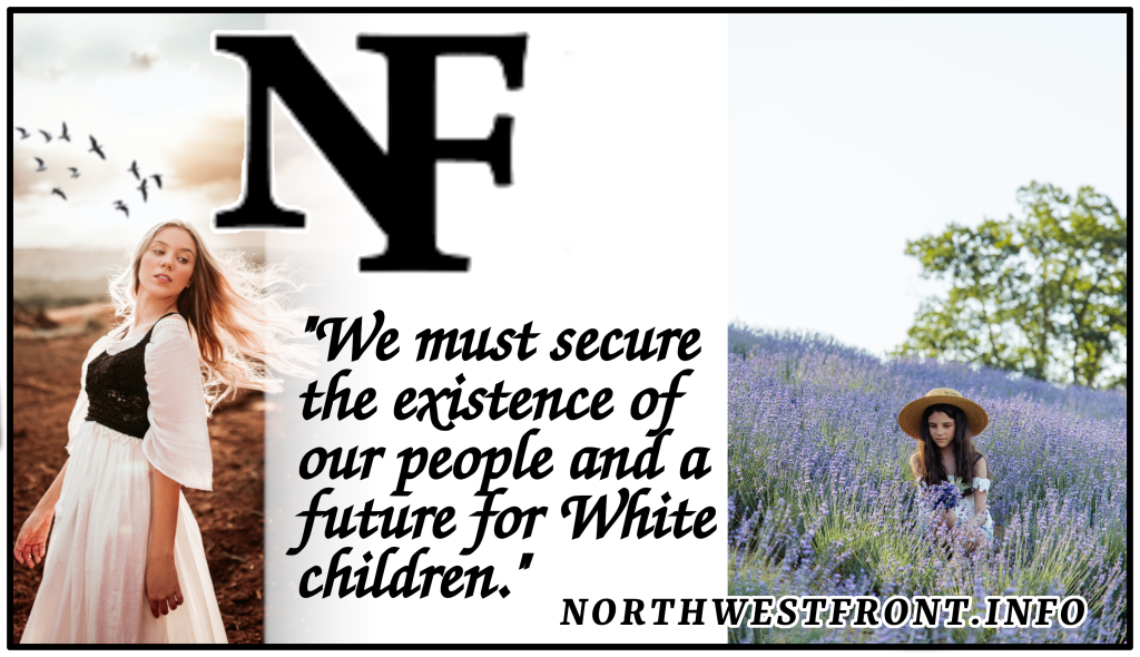 Graphics | Northwest Front